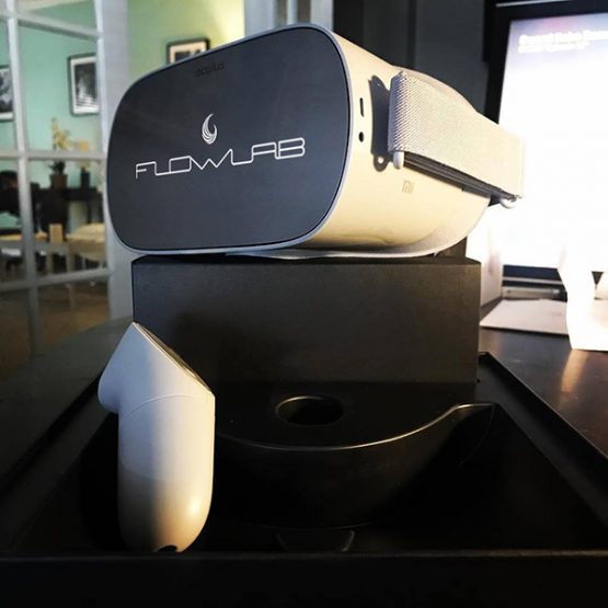 Virtual Reality Hypnosis - FlowLab